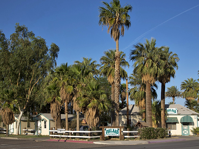 Desert palms frame affordable homes in Needles, where California living comes with desert-low price tags and river views.