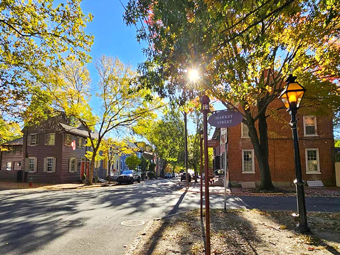 Sunlight filters through autumn leaves on New Castle's Market Street, where history and affordability create the perfect retirement backdrop.