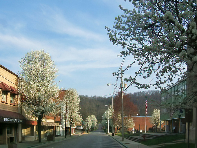 Paintsville's charming downtown sits nestled among Eastern Kentucky's mountains, where natural beauty meets healthcare accessibility.