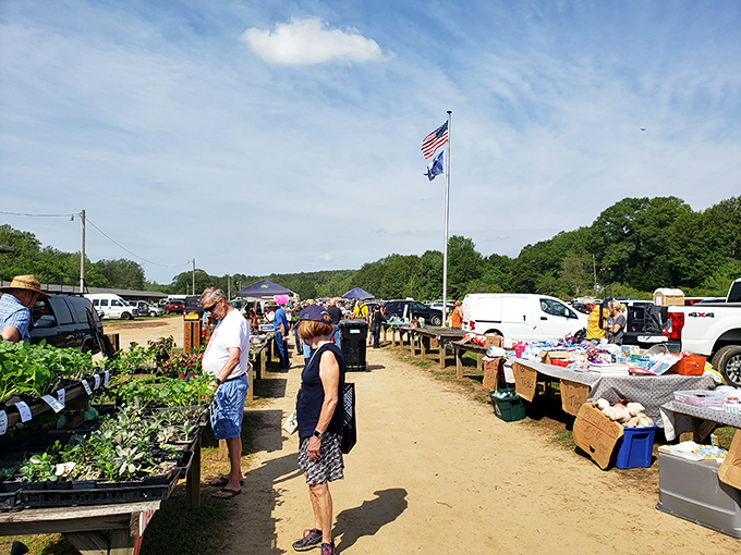 Under clear Carolina skies, shoppers and vendors create a timeless scene of commerce and community at Pickens County Flea Market.