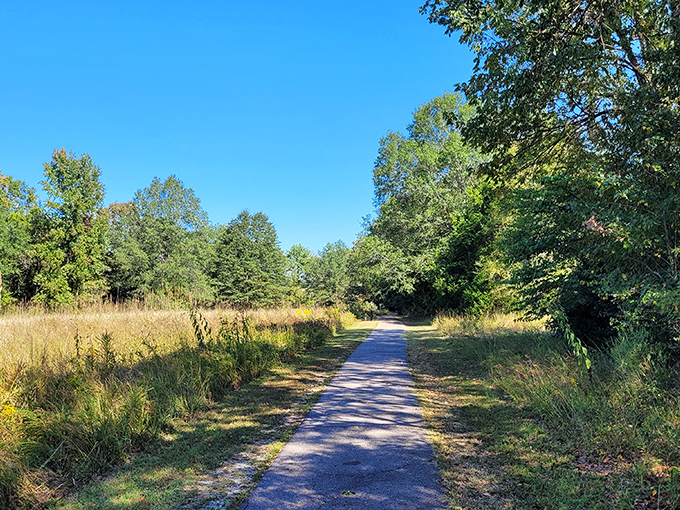 Grassy trails wind through Pinson Mounds Park, where history is literally built into the landscape.