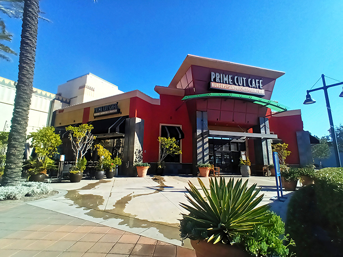 Sleek and inviting, this isn't your grandfather's steakhouse – but the steaks would still earn his hearty approval.