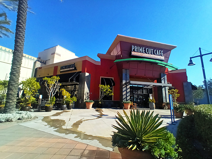 Sunlight bathes Prime Cut's contemporary facade &ndash; inside awaits hand-cut steaks that would make a vegetarian nervous.