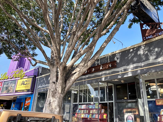 Browse beneath Skylight's industrial ceiling while surrounded by carefully selected titles that reflect LA's creative spirit.