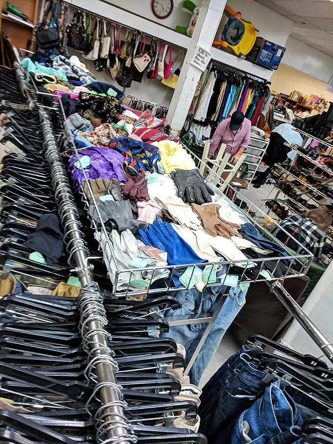 Organized chaos creates the perfect treasure hunting grounds. One person's castoffs become another's statement pieces!