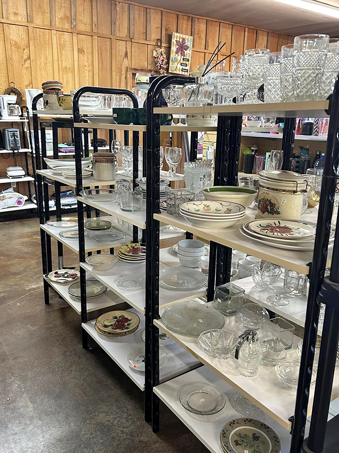 Those gleaming glasses and vintage dishes at Treasure Tails aren't just kitchenware&mdash;they're conversation pieces waiting for their next dinner party.