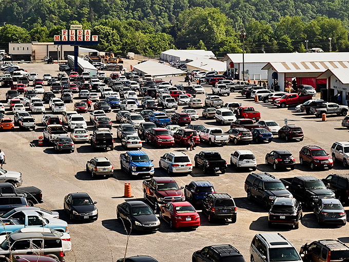 The packed parking lot tells the story - this isn't just shopping, it's a weekend ritual for bargain hunters across northeast Tennessee.