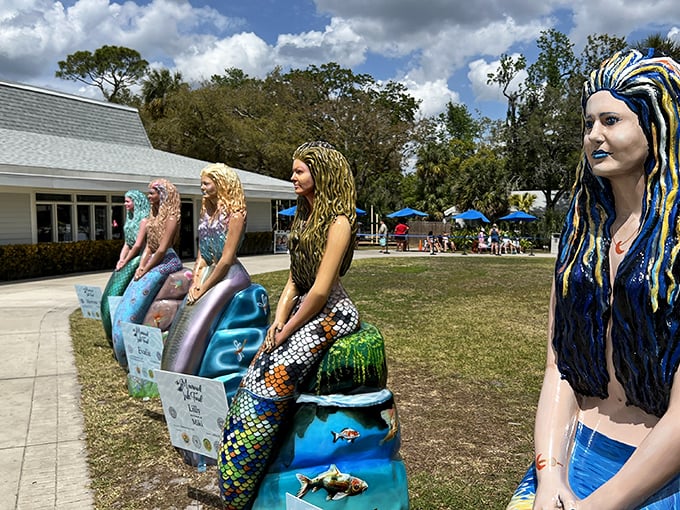 These aquatic performers prove that holding your breath can become the ultimate art form.