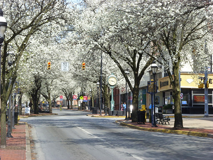 The White Rose City shows off its colonial charm year-round &ndash; brick buildings and blue skies creating a timeless Pennsylvania scene.