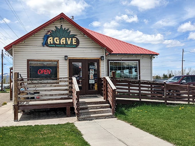 Agave Family Mexican Restaurant serves up authenticity in a cozy roadside setting &ndash; the kind of place where calories don't count because you're "experiencing culture."