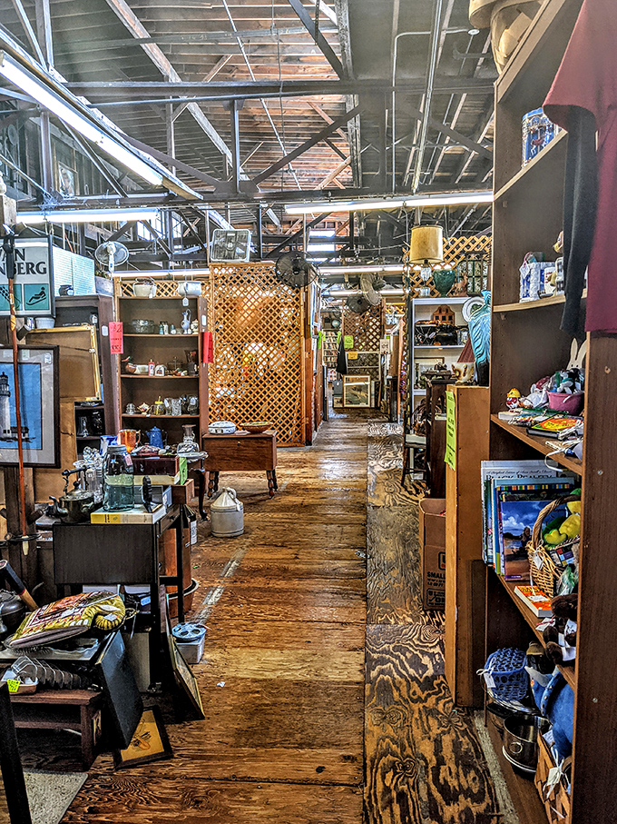 Wooden floors that creak with anticipation as you navigate narrow pathways between vendor spaces, each turn promising new discoveries.