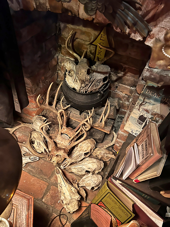 A bony collection that would make any anthropologist swoon—or at least raise an eyebrow at the artful arrangement of nature's architecture.