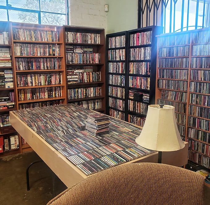 A media lover's dream &ndash; shelves upon shelves of DVDs and CDs waiting to be rediscovered in an age of streaming.