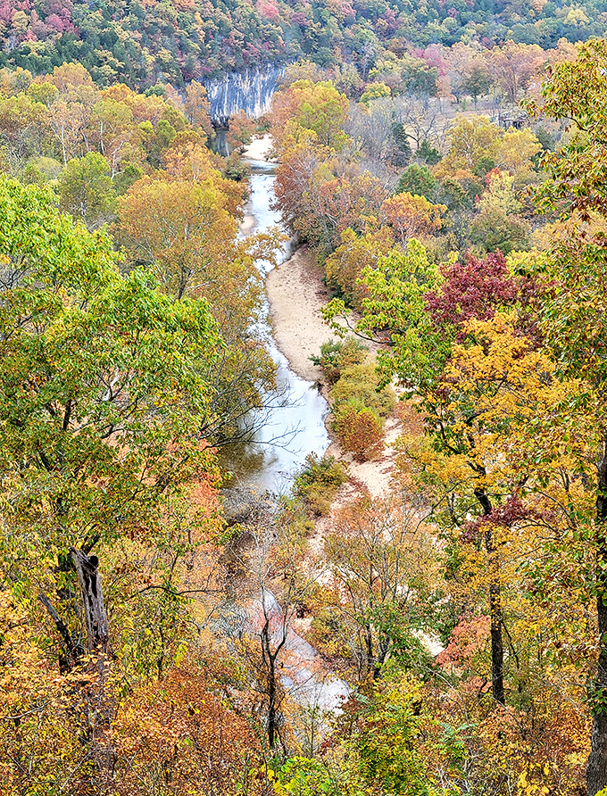Fall's grand finale! The creek carves its ancient path through a kaleidoscope of autumn colors, creating a scene worthy of the finest landscape painting.