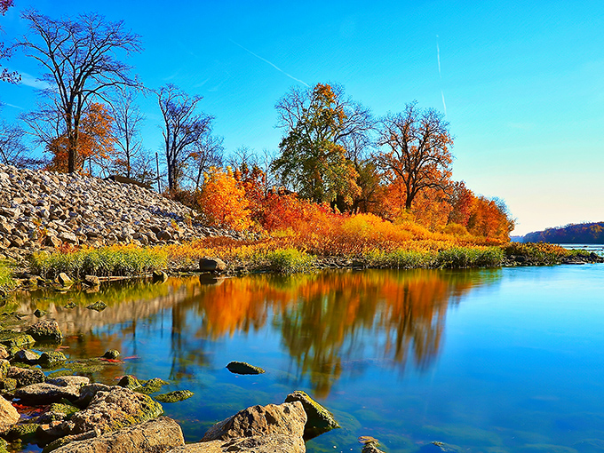 Autumn's masterpiece reflected. The river doubles the visual impact of fall foliage, creating a mirror world where colors seem to float on water.