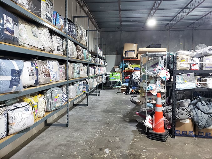 Bedding department dreams! From comforters to quilts, this aisle promises cozier nights without the department store sticker shock.