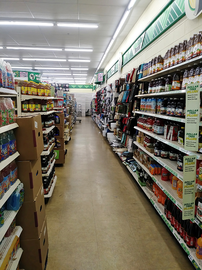 Bottles lined up like soldiers ready for duty&mdash;hydration and flavor at prices that won't leave you thirsting for your next paycheck.