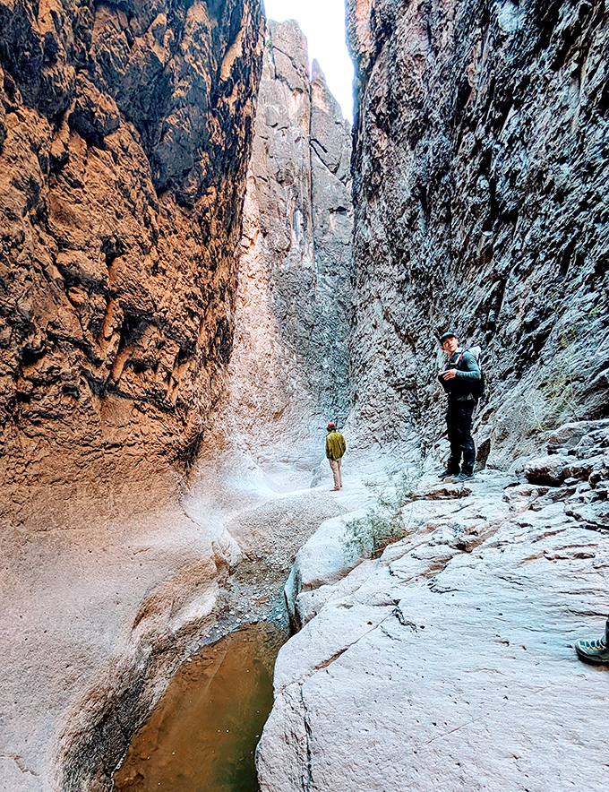Slot canyons: nature's version of an exclusive club. The narrow passage creates a microclimate that feels like stepping into another world entirely.