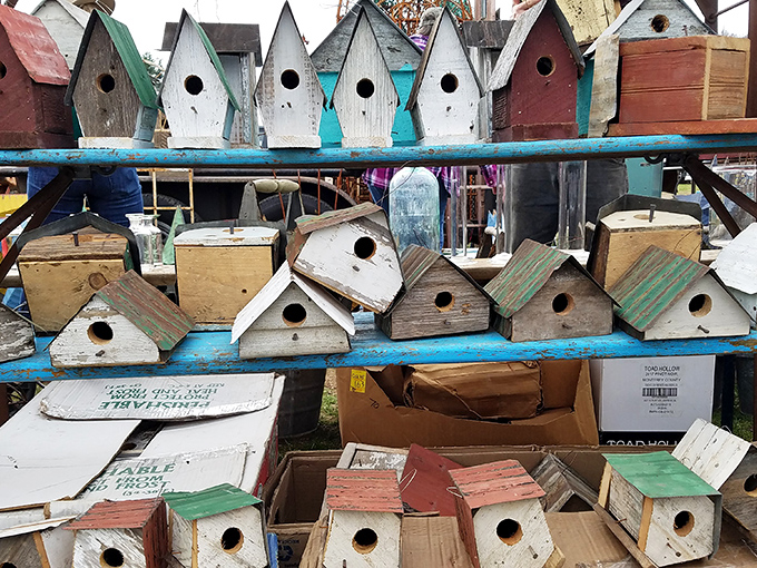 Birdhouses in every imaginable color scheme&mdash;because even Connecticut's finches deserve real estate with curb appeal.