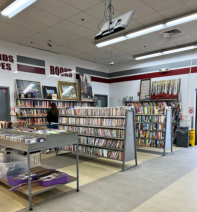 The book section: where literary treasures and forgotten bestsellers mingle democratically, all priced less than a fancy coffee.