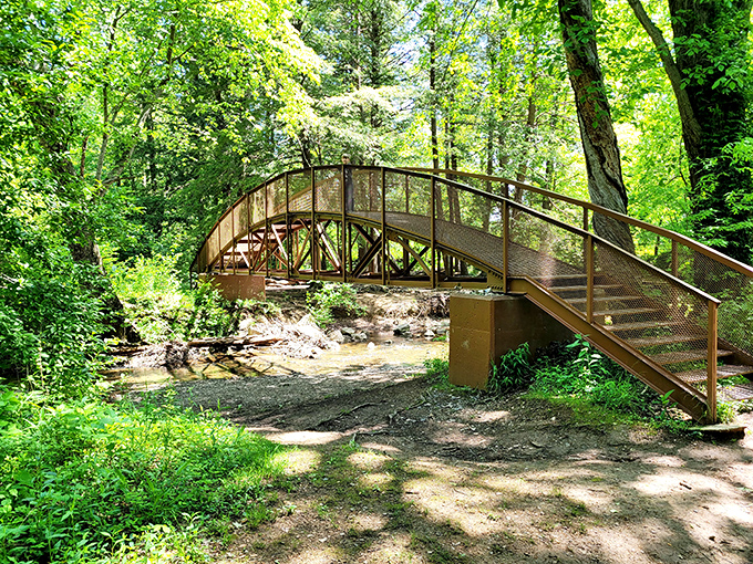 This rustic bridge over gentle waters invites wanderers to cross into the verdant embrace of Kentucky's woodland trails.