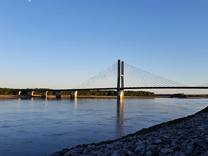 The Bill Emerson Memorial Bridge stretches across the Mississippi like a modern sculpture, its cables reaching skyward while connecting Missouri to Illinois.