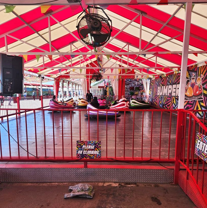 Bumper cars: where shopping frustrations transform into family-friendly demolition therapy. Retail rage has never been so much fun.