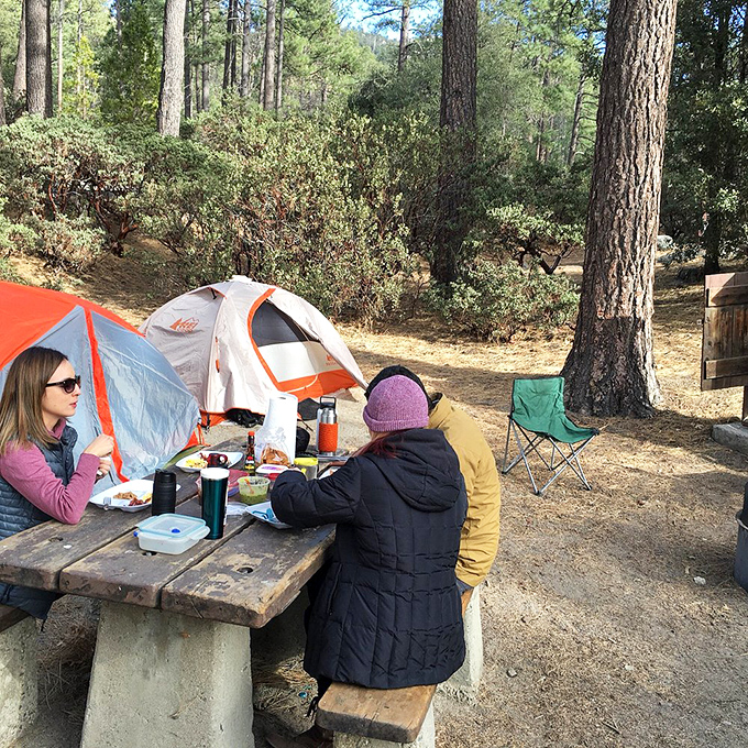 Camping in Idyllwild: where breakfast tastes better with pine-scented air and conversations happen without anyone checking their phones.