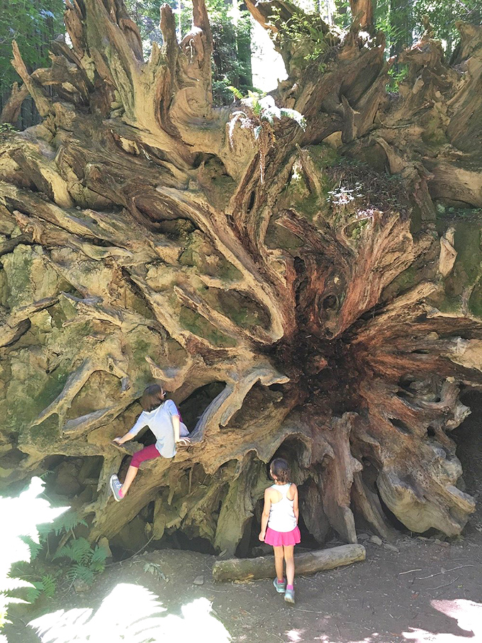 These kids are getting a masterclass in perspective - skyscrapers will never impress them again.