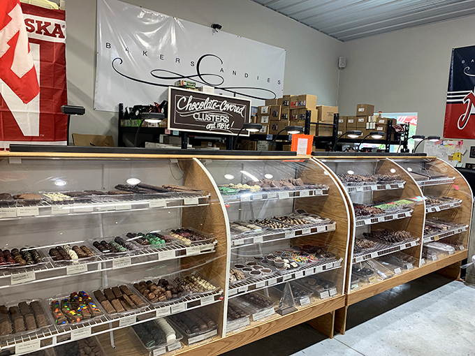Behind these curved glass cases lie chocolate treasures waiting to be discovered. The wooden display cases add rustic charm to this sweet sanctuary.