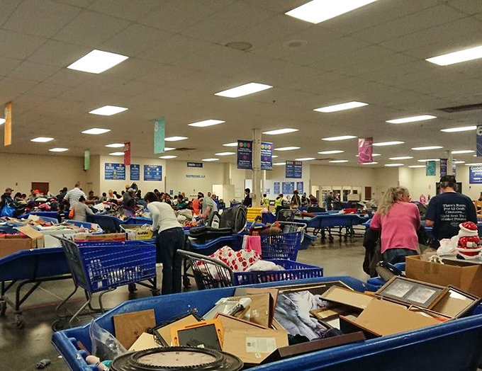 The wide-open floor plan hosts dozens of blue bins and determined shoppers, all engaged in the gentle art of the hunt.