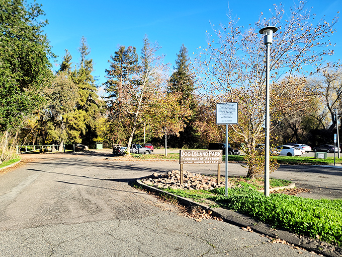 At Dog Island Park, nature provides the entertainment&mdash;no subscription required, no commercials, just pure California serenity.