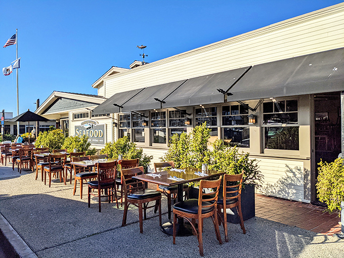 Outdoor dining with ocean views? Yes, please! These waterfront patios offer the kind of al fresco experience that makes California dining legendary.