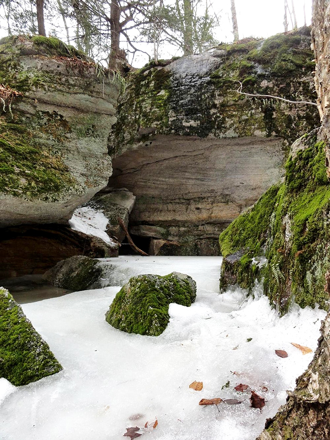 Winter transforms the park's waterways into frozen wonderlands. These ice formations create natural architecture that would make Frank Gehry jealous.