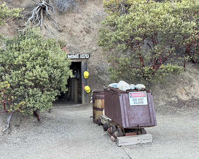 Step back in time at the Eagle Mining Company, where you can explore an authentic gold mine that helped put Julian on the map.