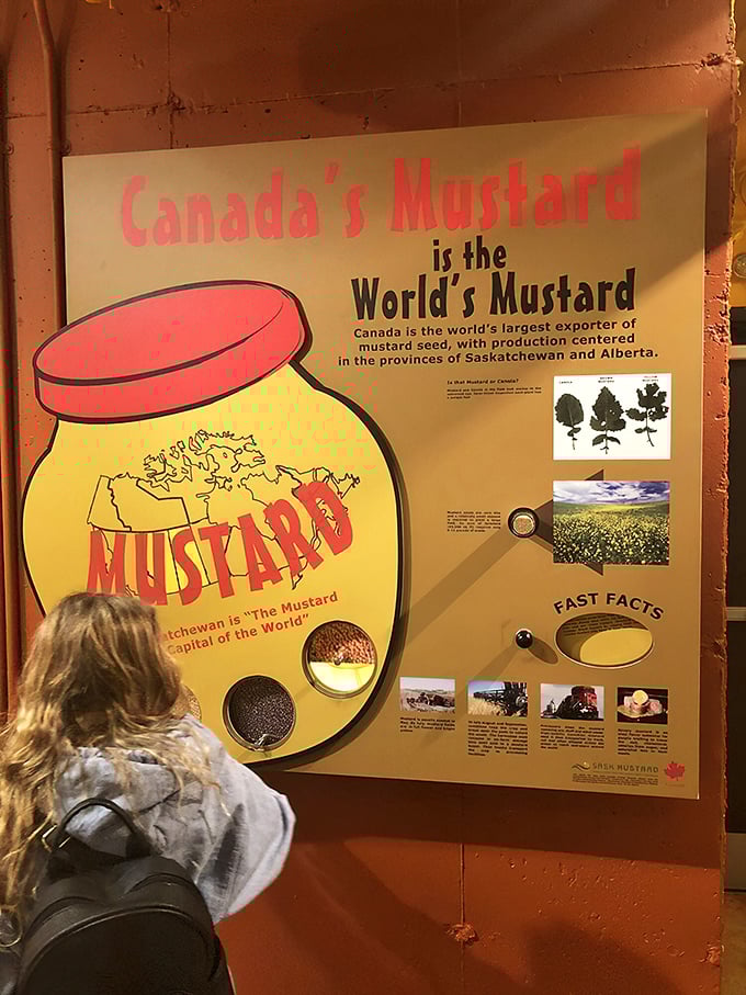 Canada's claim to mustard fame is celebrated with educational displays that turn agricultural trivia into fascinating food knowledge.
