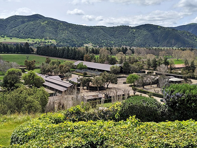 Rural beauty surrounds Solvang in every direction. The Danish village may draw you in, but the California landscape will make you stay.
