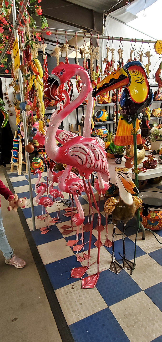 A flock of flamingos that never needs feeding stands ready to add a splash of whimsy to Arizona gardens.
