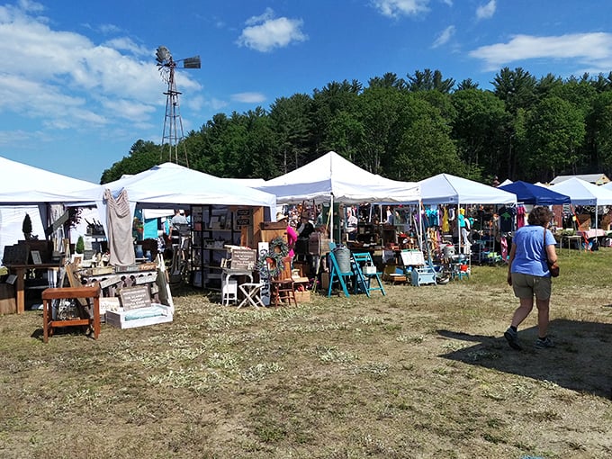 Local artisans and treasure hunters gather under summer skies. One person's attic discovery becomes another's conversation piece.