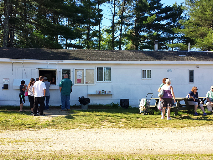 The market's social hub where treasure hunters refuel. Nothing tastes better than a snack enjoyed amid the excitement of discovery.