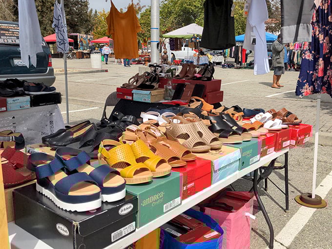 Footwear fantasyland where practical meets fashionable. Like dating in your 50s, these shoes promise both comfort AND style without making you choose.