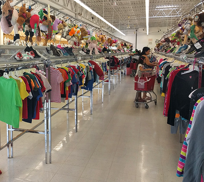 Stuffed animals line the upper shelves like a colorful parade, each hoping to find a new child to love them.