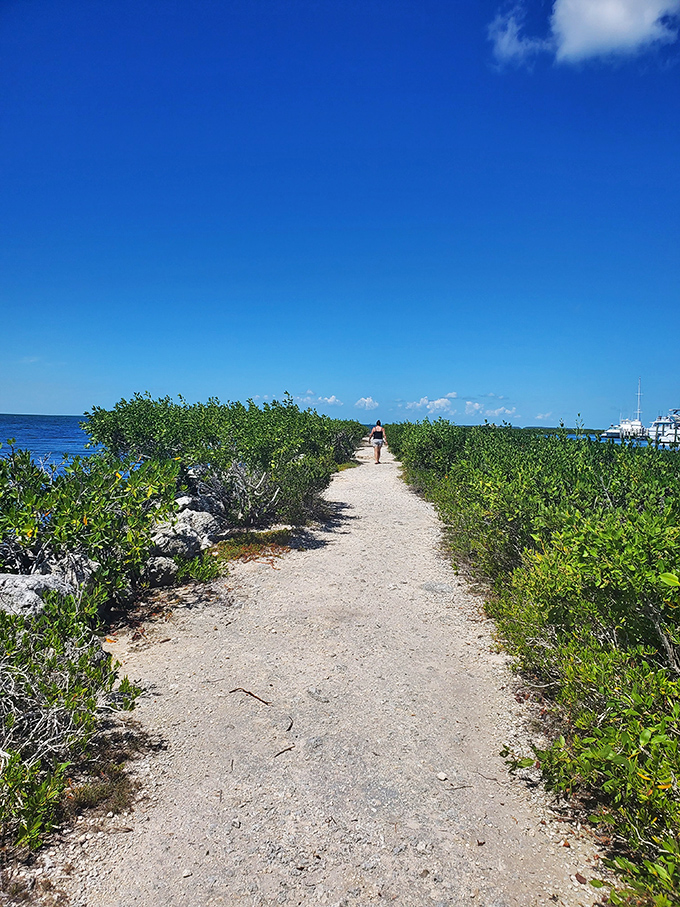 Sandy pathways wind through coastal vegetation at Founders Park, where the journey itself becomes as delightful as the destination.