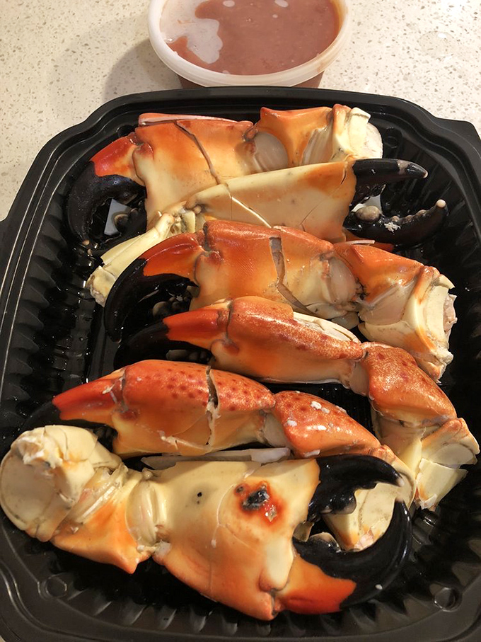 These stone crab claws aren't just seafood; they're Florida's seasonal celebrities, making their limited-time appearance to adoring fans and hungry newcomers alike.