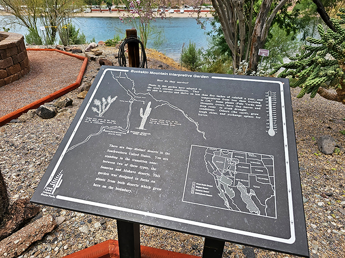 Educational signs reveal nature's secrets, though the real classroom is the stunning landscape surrounding every trail marker.