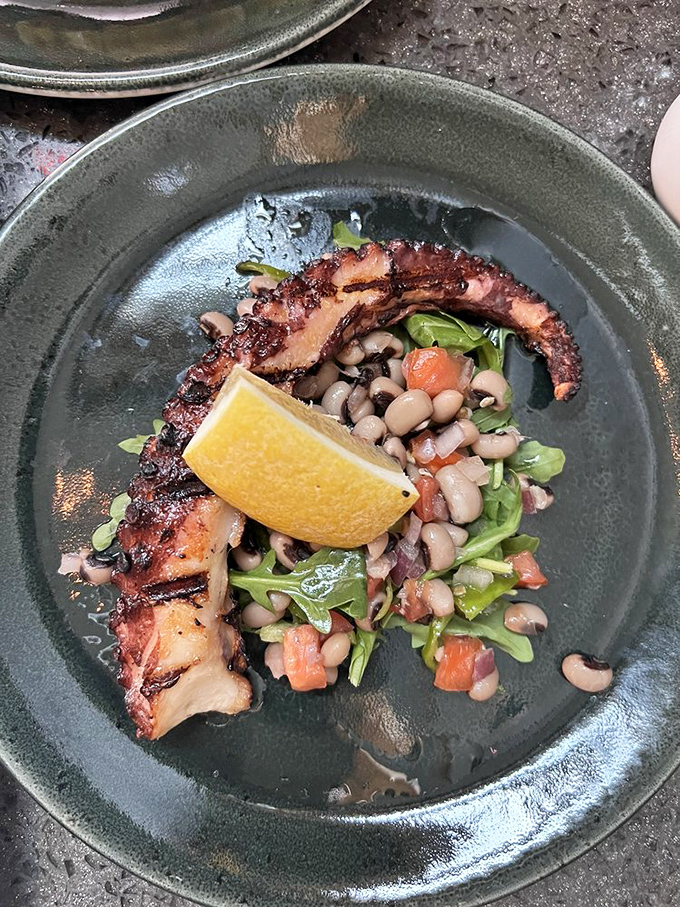 Octopus so perfectly grilled it makes you wonder if the chef has some kind of secret underwater cooking school. Those beans aren't just along for the ride.