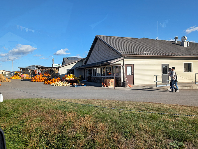 Hershberger's Farm and Bakery celebrates autumn's bounty with pumpkins and gourds that haven't traveled further than you could walk in an afternoon.