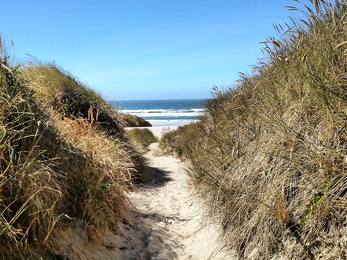 Every beach path in Manzanita feels like the entrance to a secret world, with dune grasses whispering coastal secrets as you pass.