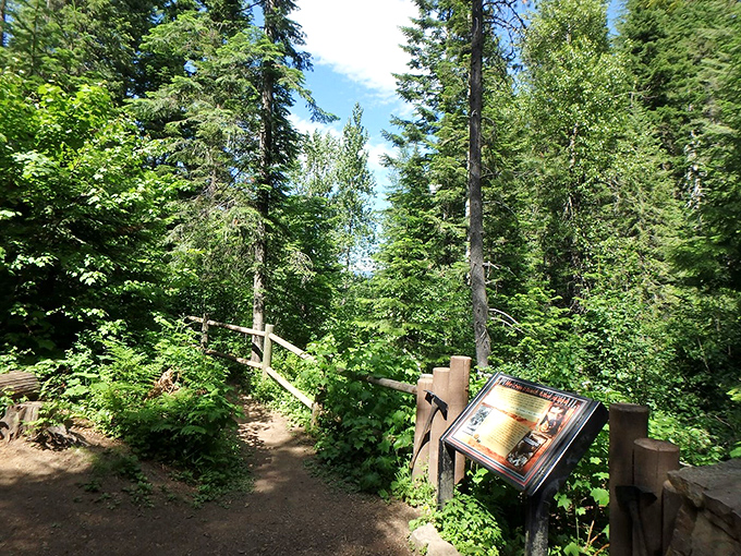 The Pulaski Tunnel Trail invites hikers into the same lush forests that once burned in the Great Fire of 1910, now a peaceful monument to nature's resilience.