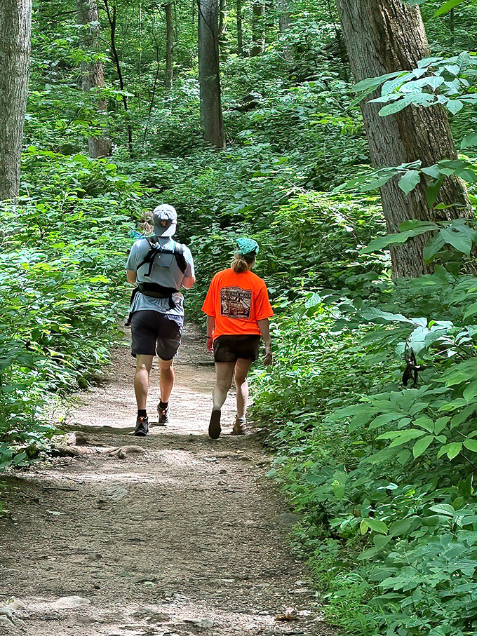 Hiking trails that make gym memberships seem ridiculous. Nature's treadmill comes with better views and zero monthly fees.